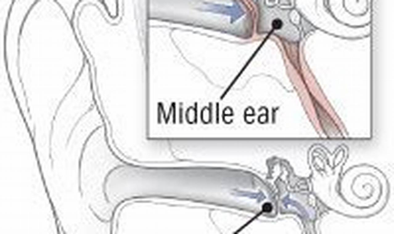 Why's My Right Ear Suddenly Muffled? Causes & Relief