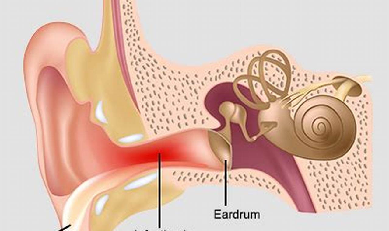 Swimmer's Ear: Why Ear is Muffled After Swimming + Tips