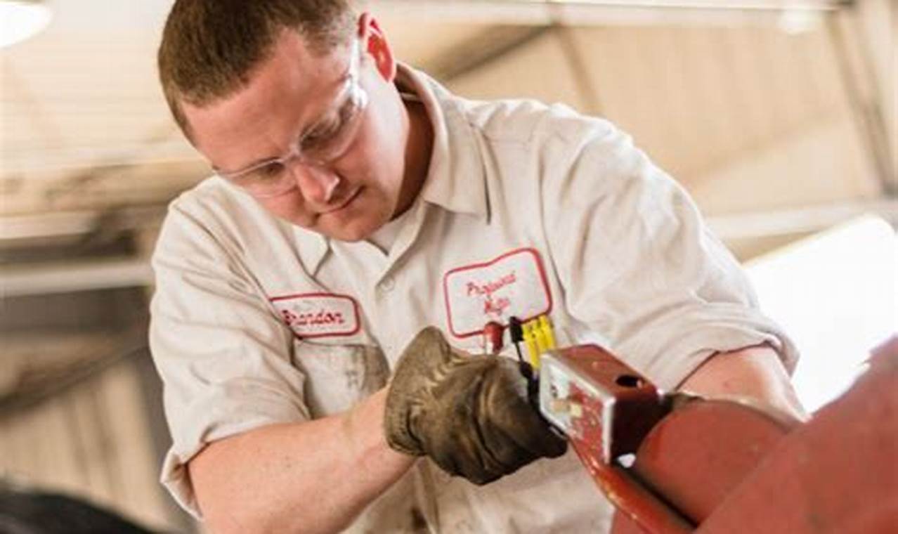 Expert Professional Muffler Service Near You: Quiet Ride!