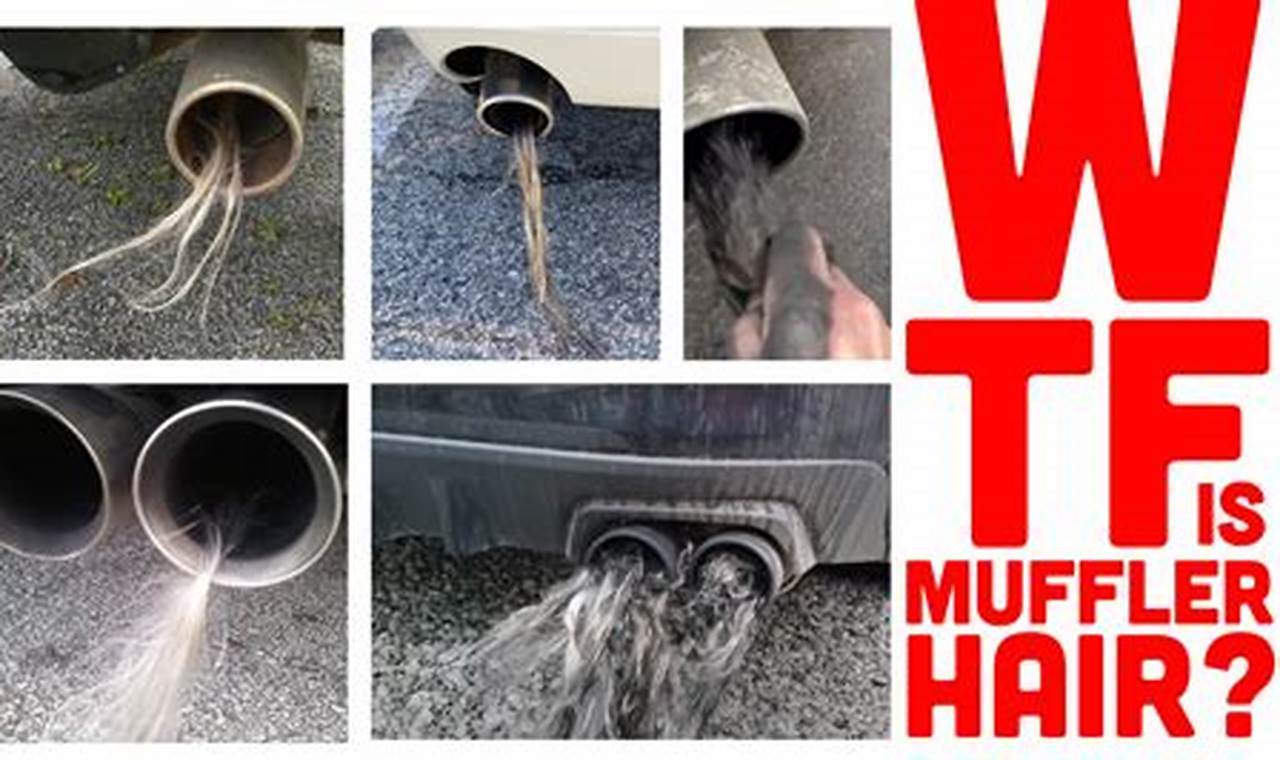 Is Car Muffler Hair Bad? Understanding Muffler Fluff