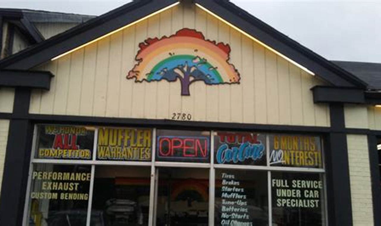 Knit a Stunning Rainbow Muffler Willoughby Pattern!