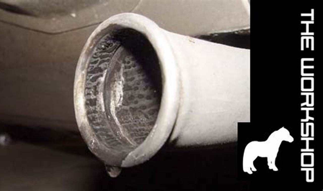 Why Water in Car Muffler? Diagnose + Fix Tips
