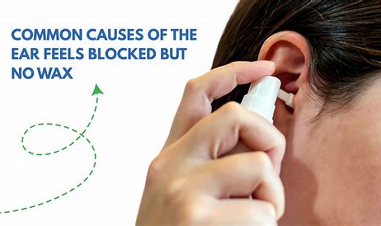 Why Ear Feels Muffled (But No Wax)? Causes & Relief